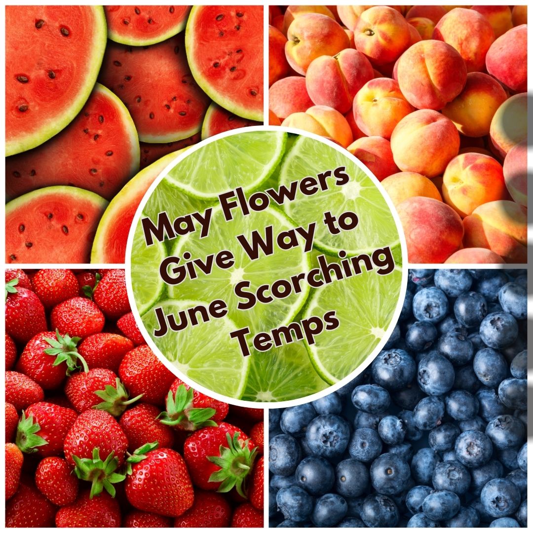 May Flowers Give Way to June Scorching Temps - First Coast Romance Writers